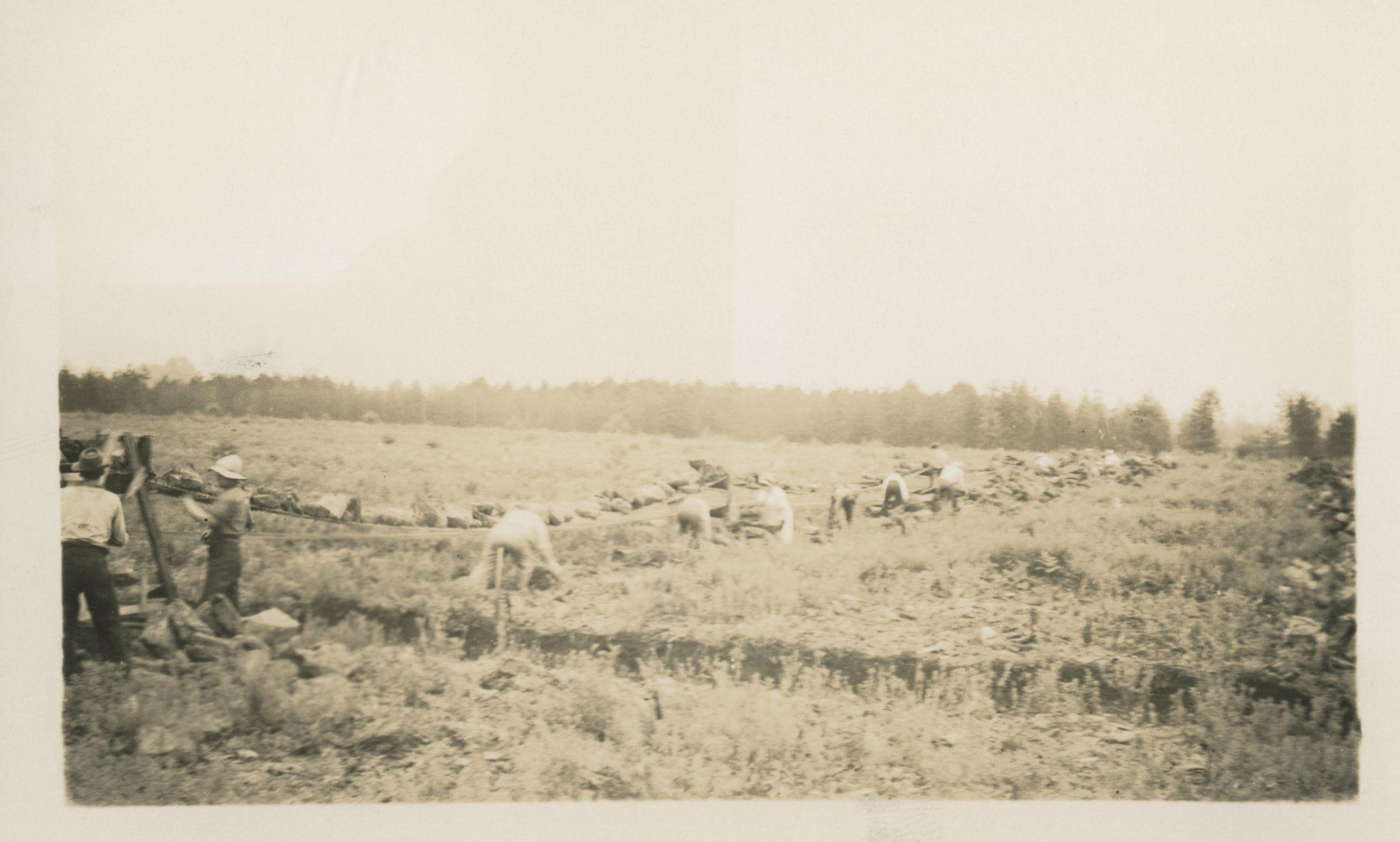 Alouette Peat Plant | Pitt Meadows Museum